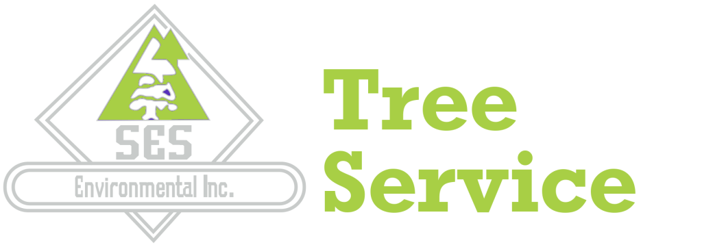 Home - SES Environmental Tree Service